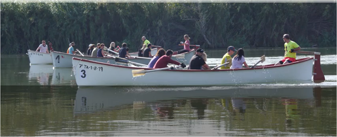 Activitat fluvial i estratègica per col·lectius i empreses | TEAM ...
